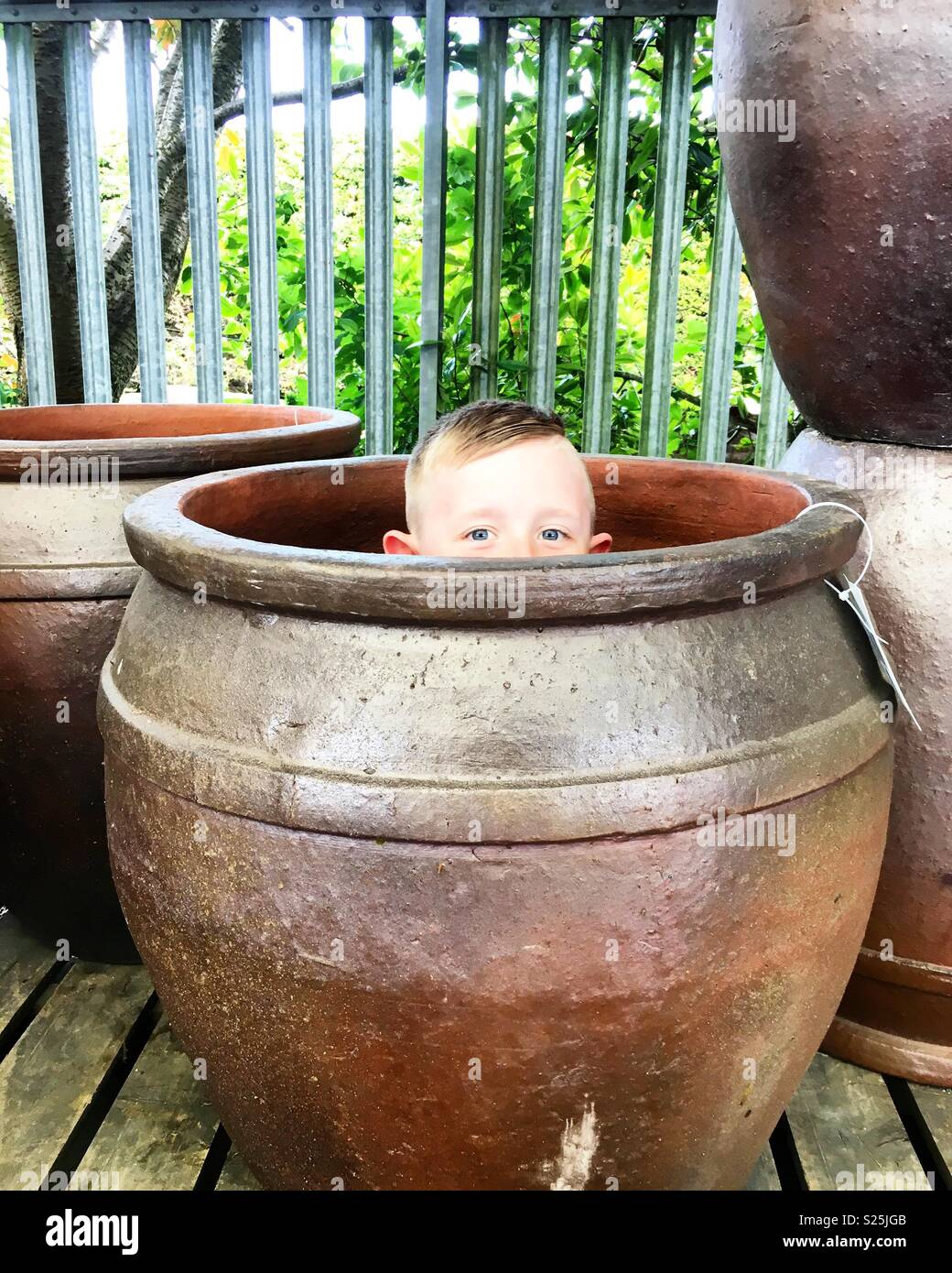 Plant pot boy Stock Photo - Alamy