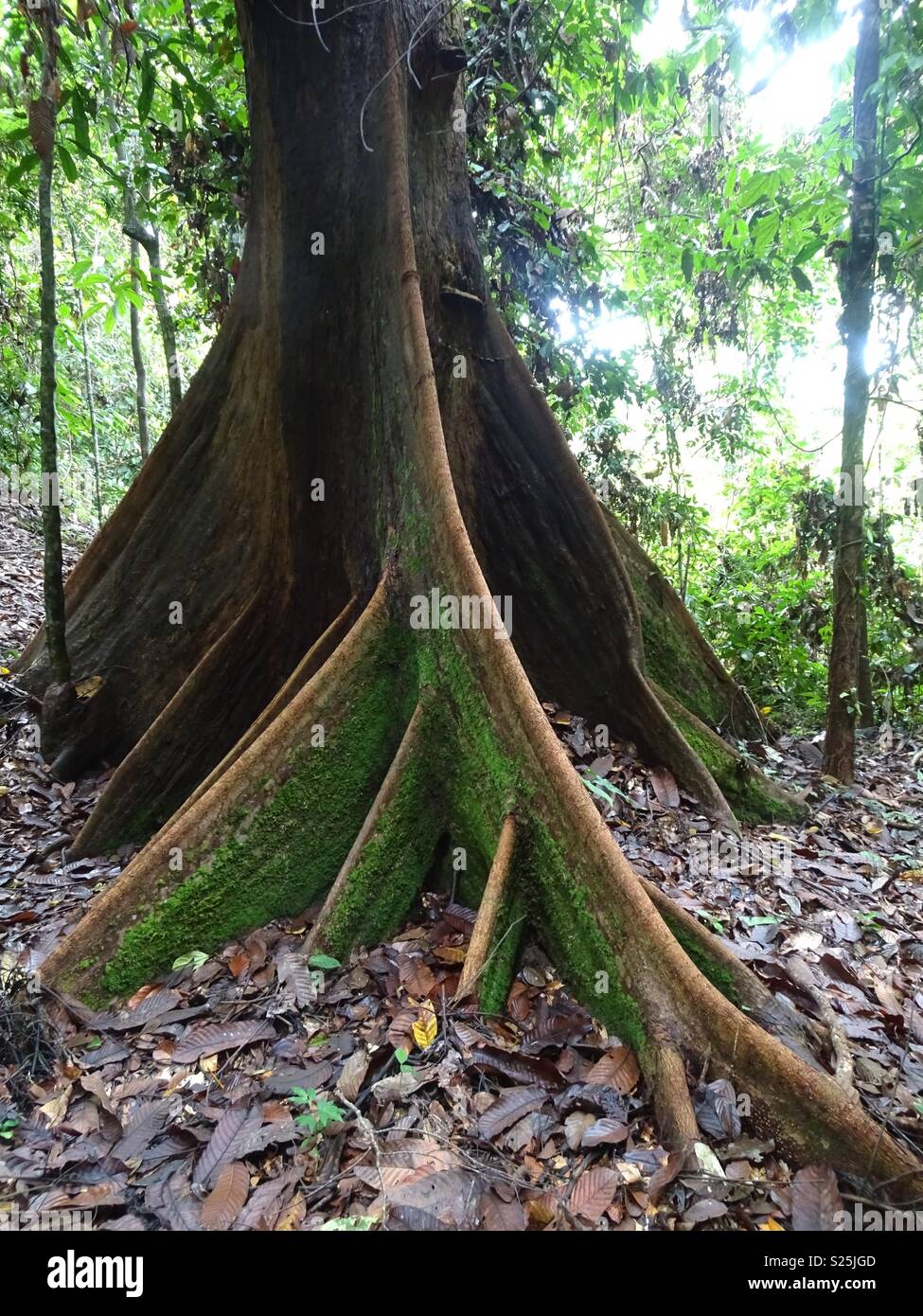 Giant structure hi-res stock photography and images - Alamy