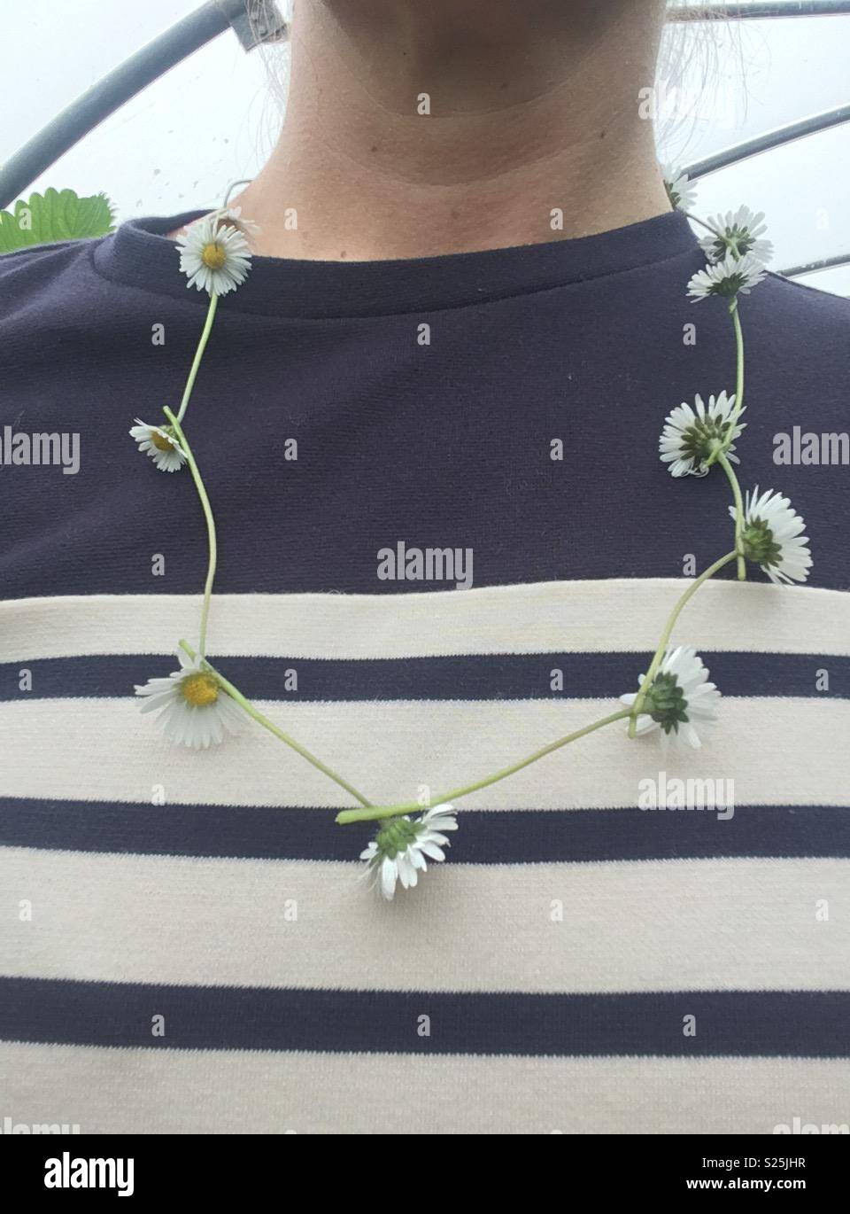 Daisy Chain High Resolution Stock Photography and Images - Alamy