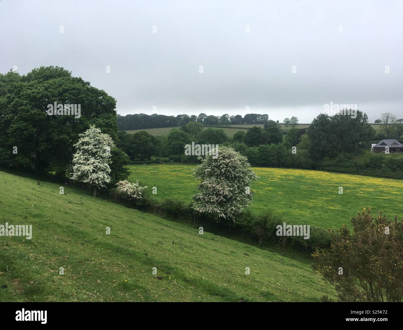Welsh farm fields hi-res stock photography and images - Alamy