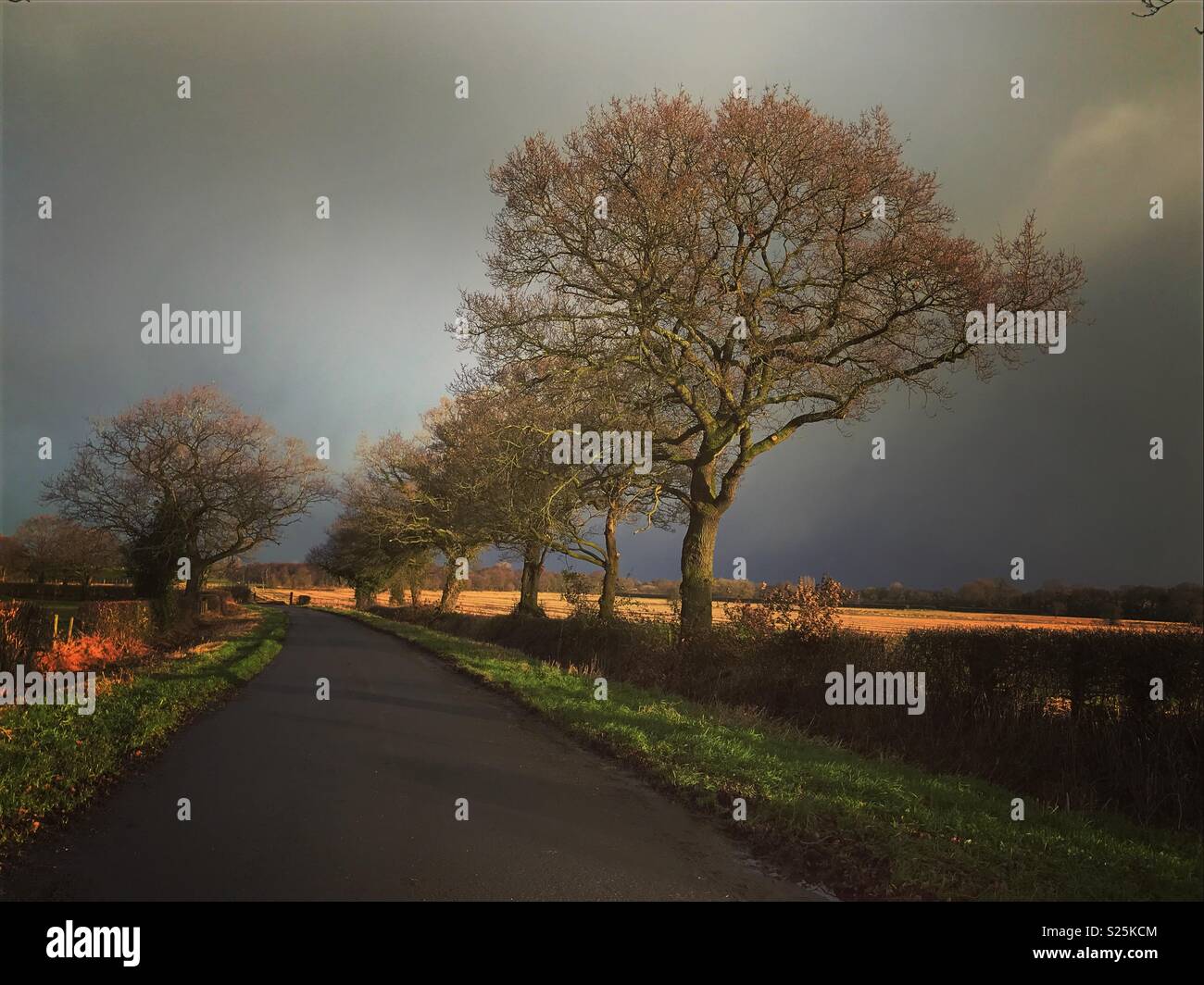 English country stormy hi-res stock photography and images - Alamy