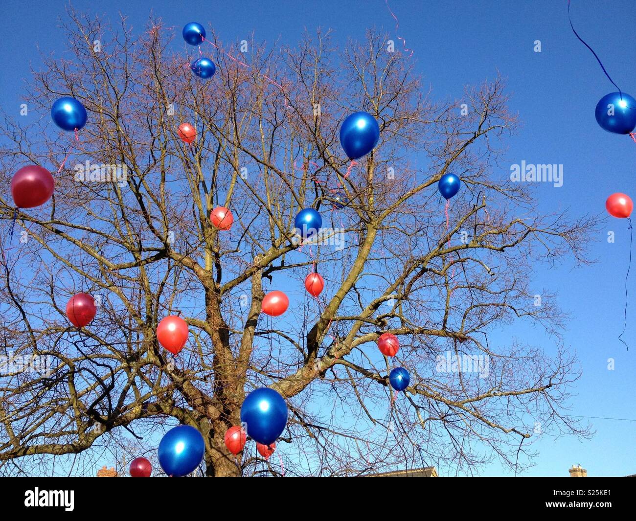 Blue & red balloons Stock Photo - Alamy