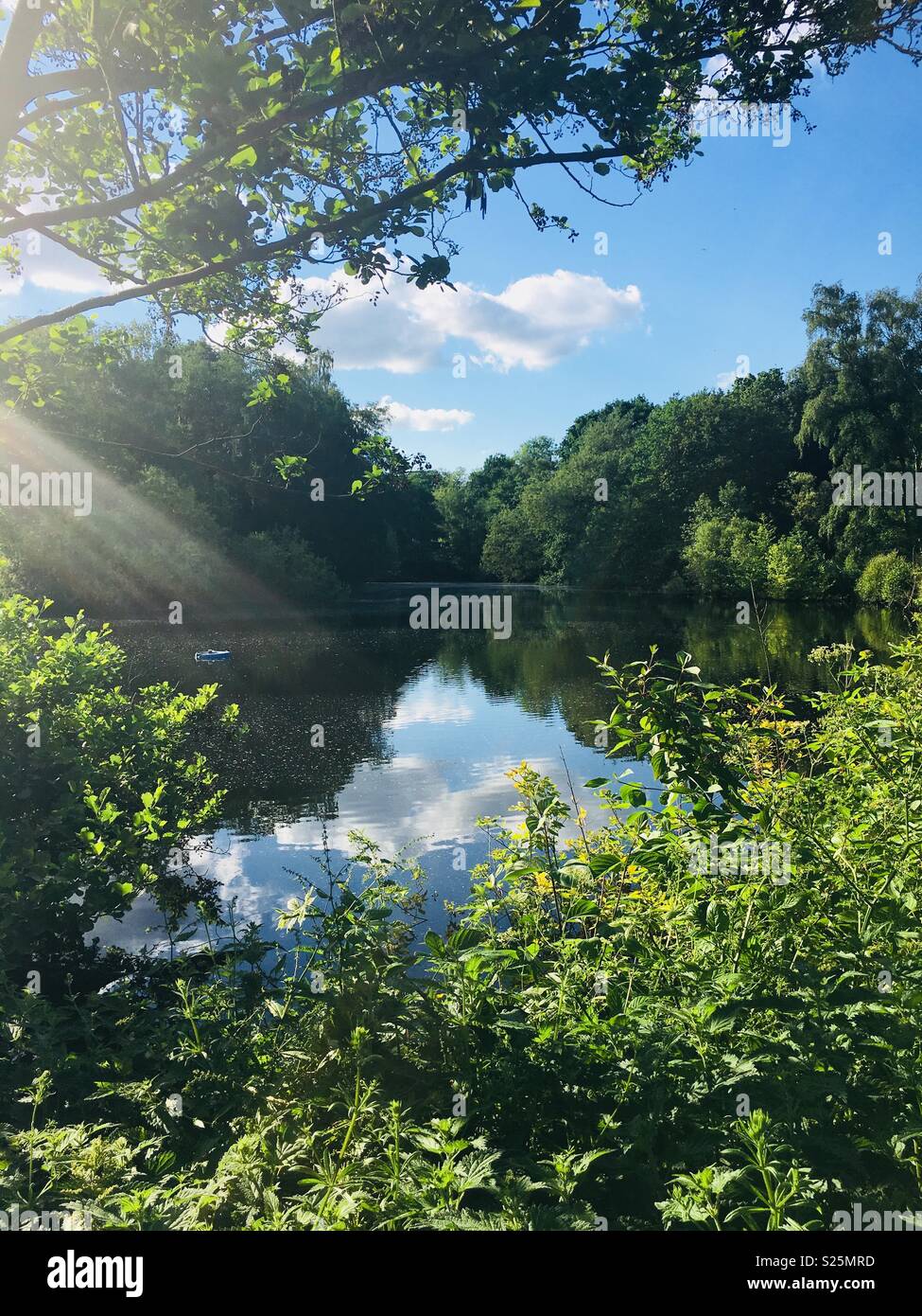 Gorgeous Hampstead Heath in the sun shine Stock Photo - Alamy