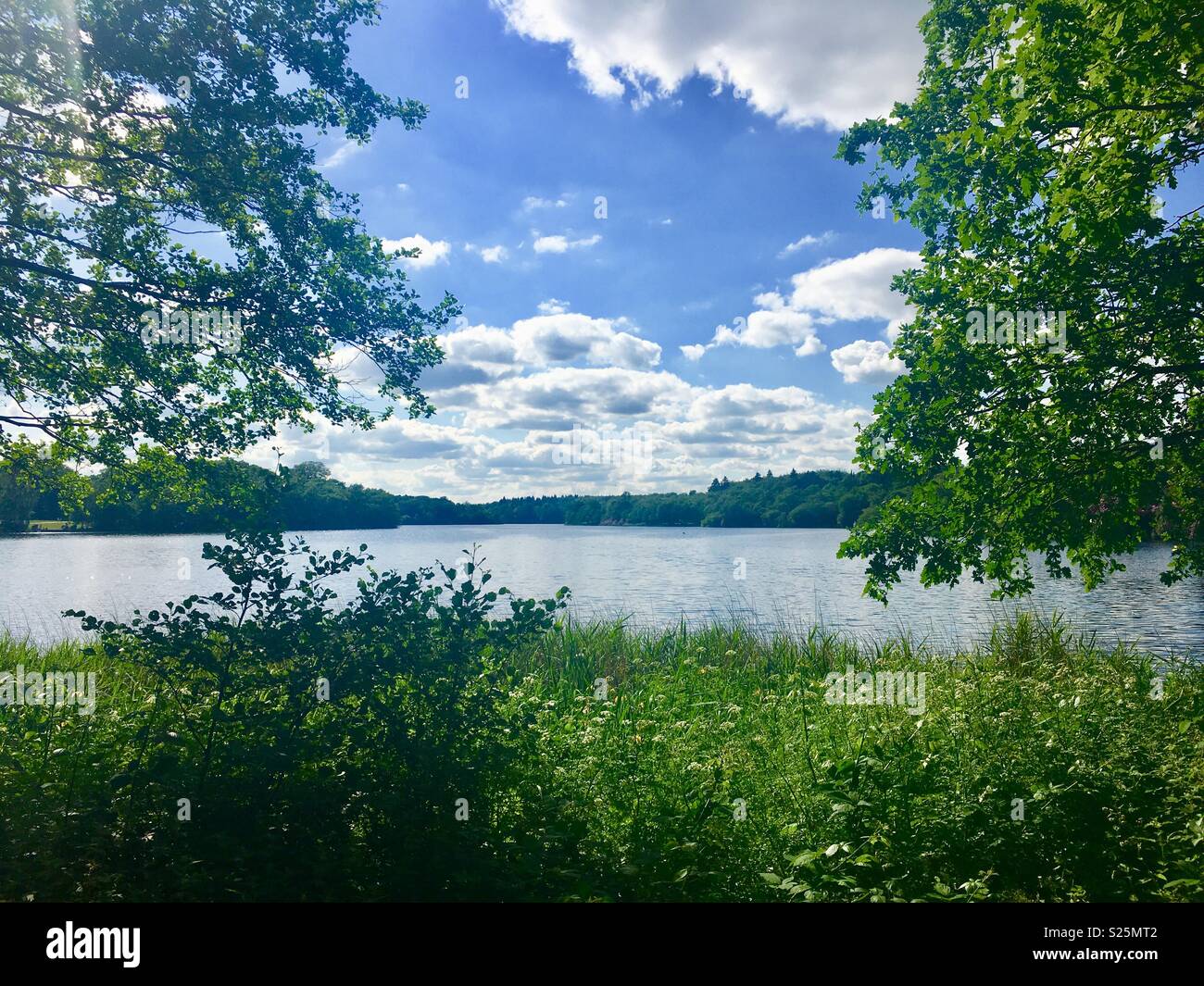 Virginia water lake hi-res stock photography and images - Alamy