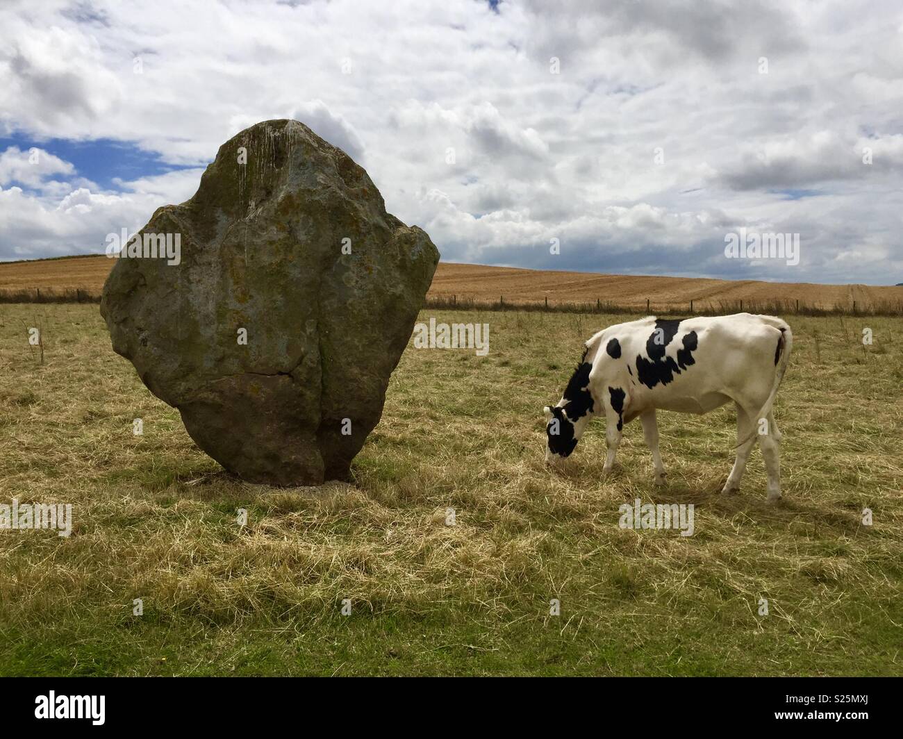 Stone cow hi-res stock photography and images - Alamy