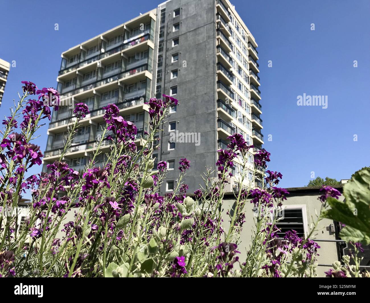 City tower block hi-res stock photography and images - Alamy