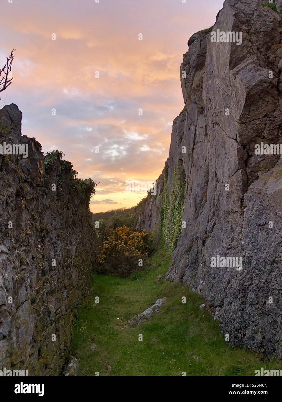 Natural pathway in welsh valleys Stock Photo - Alamy