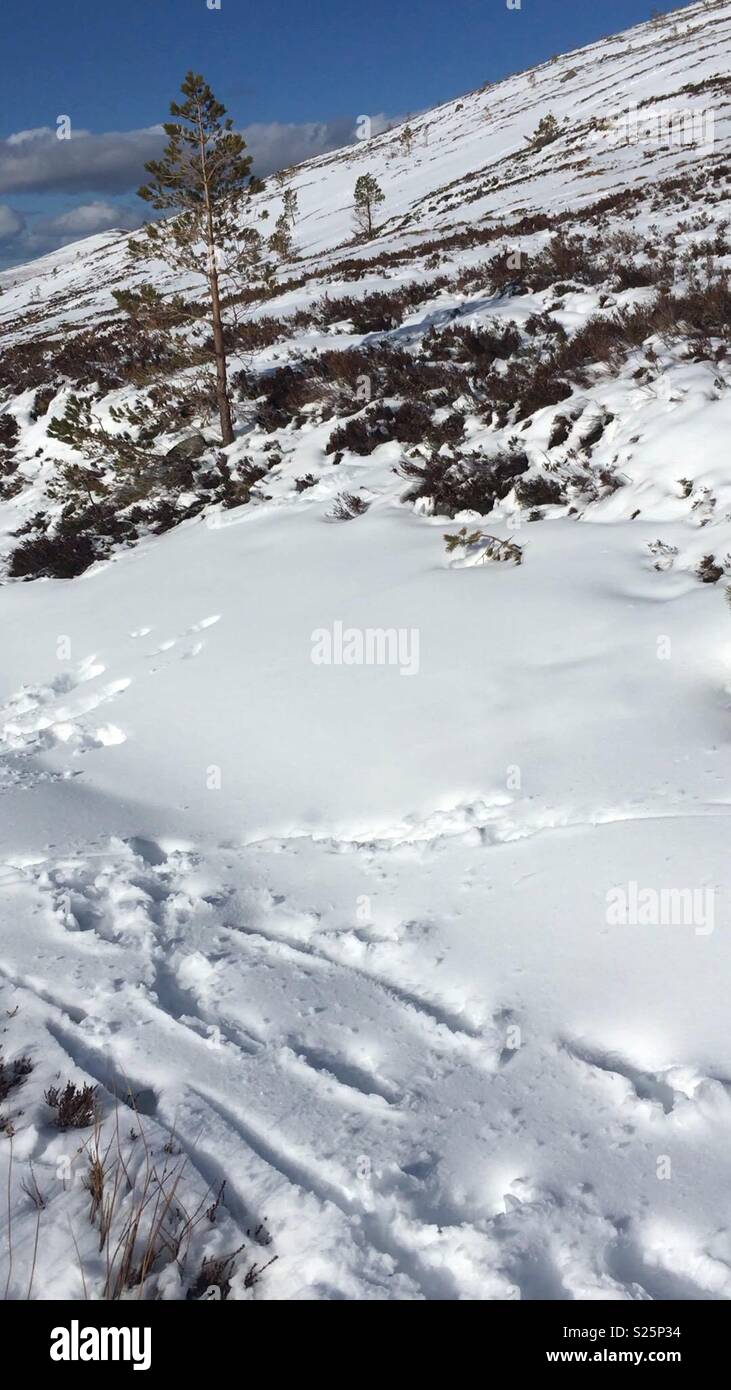 Snow mountain lots of snow Stock Photo - Alamy