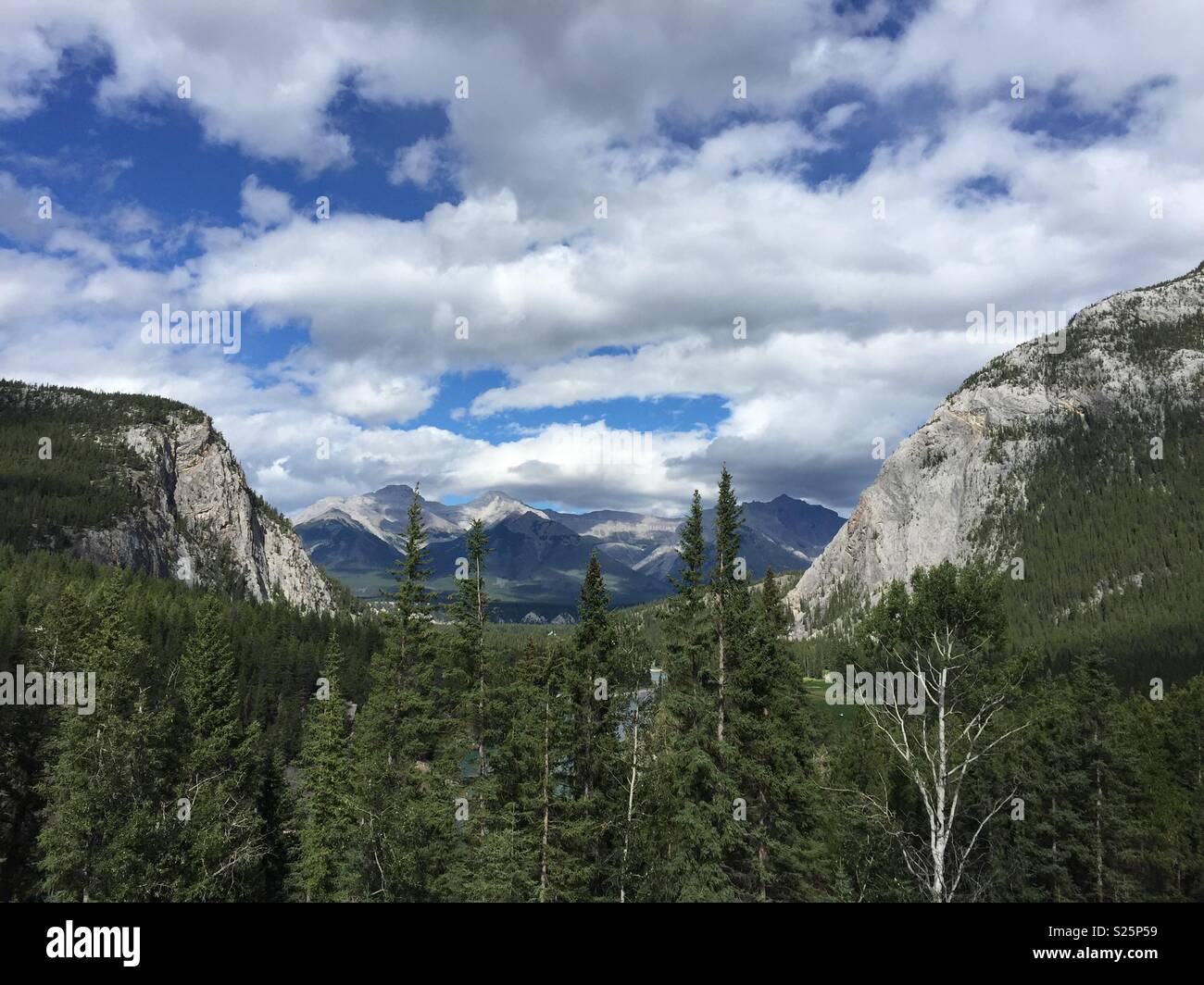 The forest in canada hi-res stock photography and images - Alamy