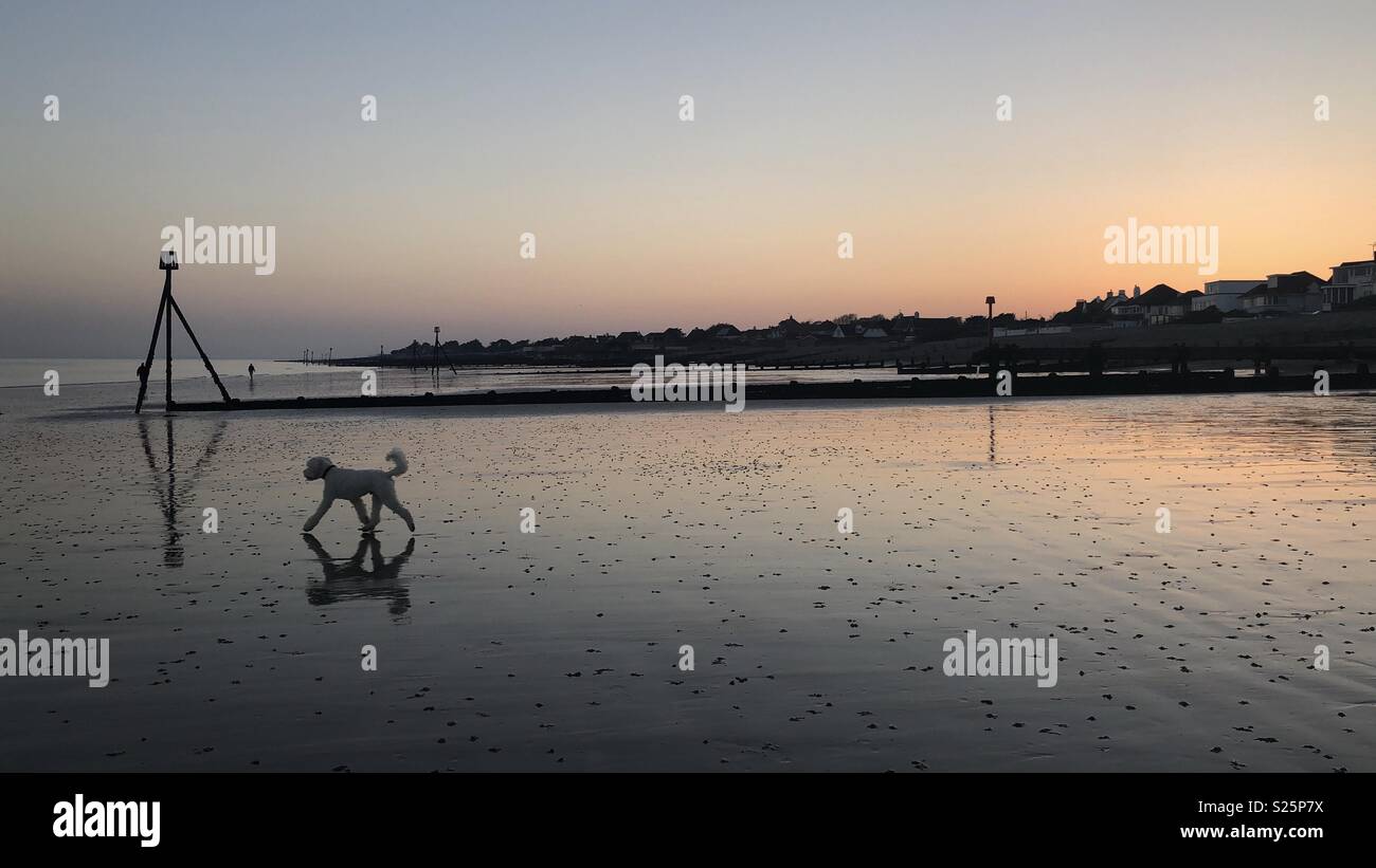 Elmer sands hi-res stock photography and images - Alamy
