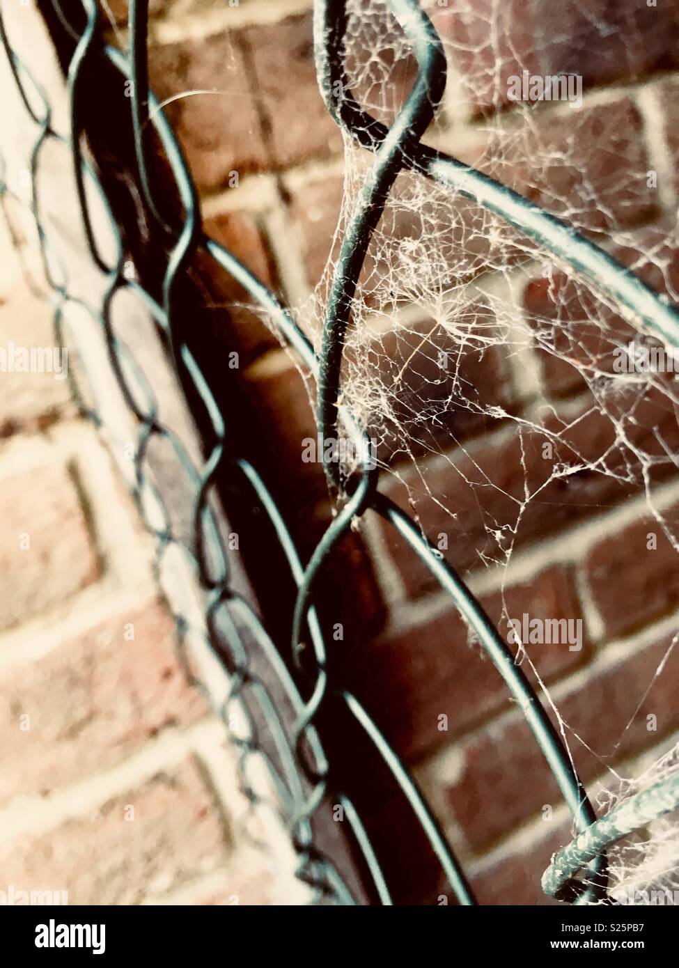 Wire web hi-res stock photography and images - Alamy