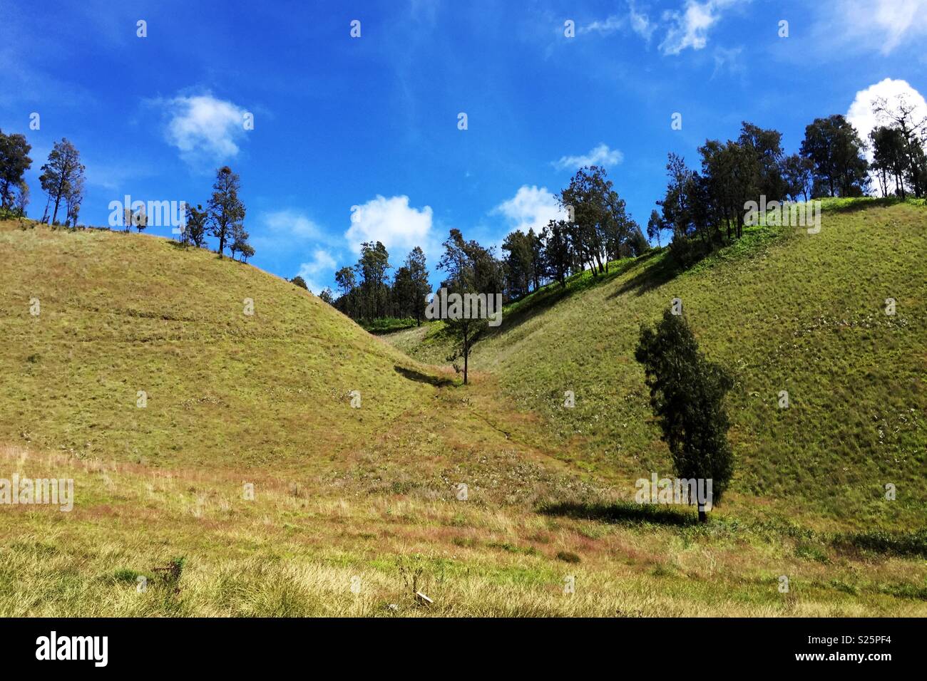 Sunrise Ranu Kumbolo