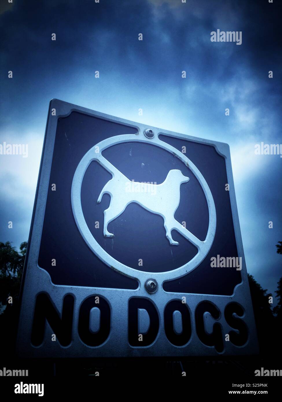 No dogs sign Stock Photo - Alamy