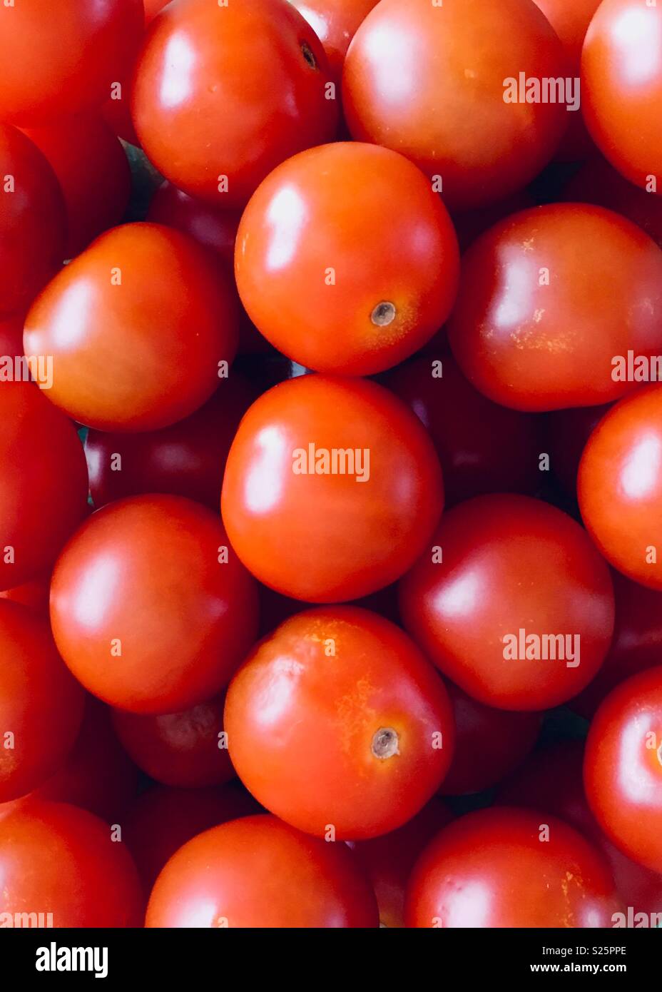 Cherry toms hi-res stock photography and images - Alamy