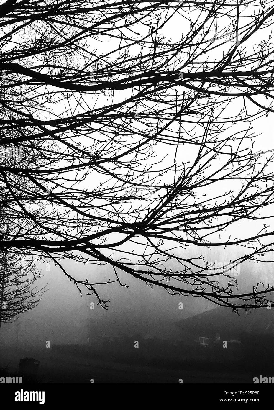 Grey misty morning hi-res stock photography and images - Alamy