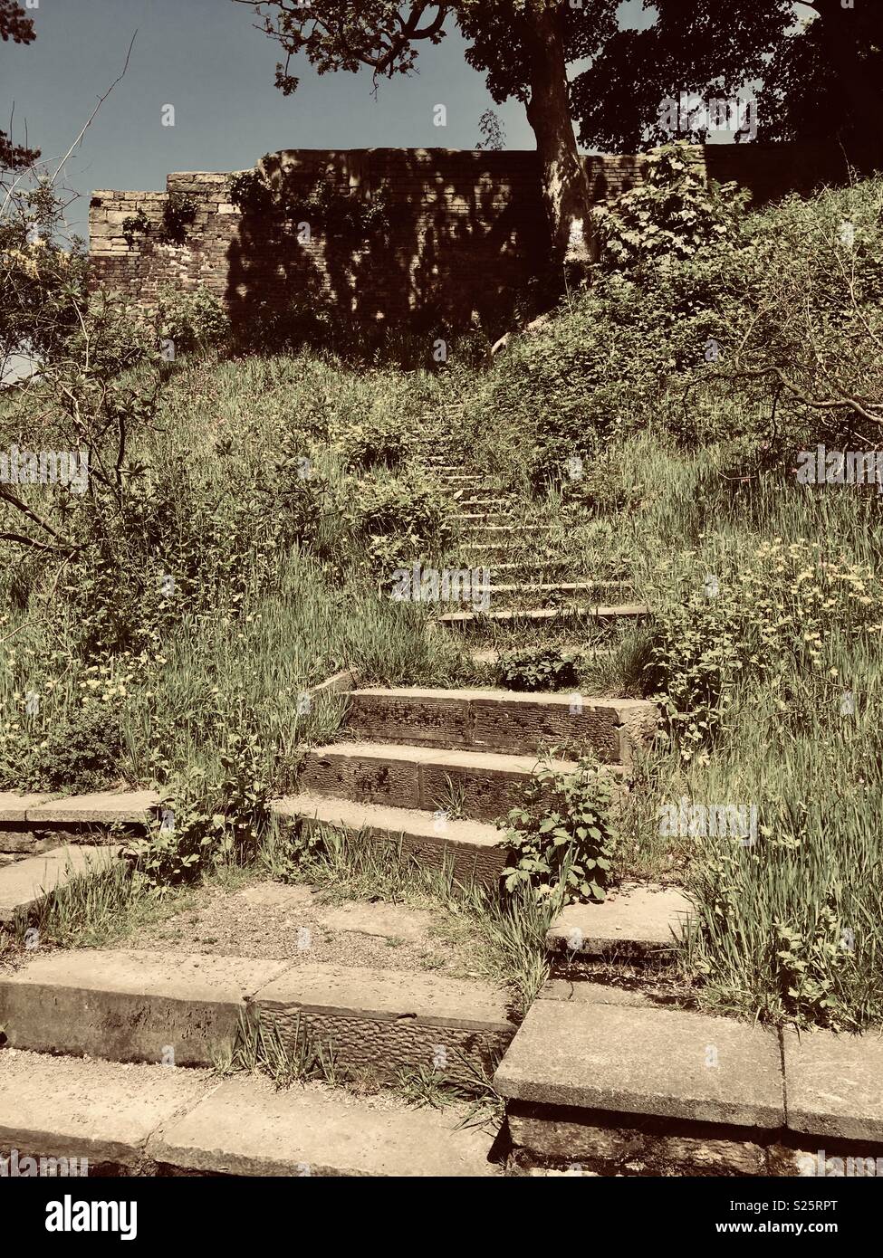 Steps to nowhere Stock Photo - Alamy