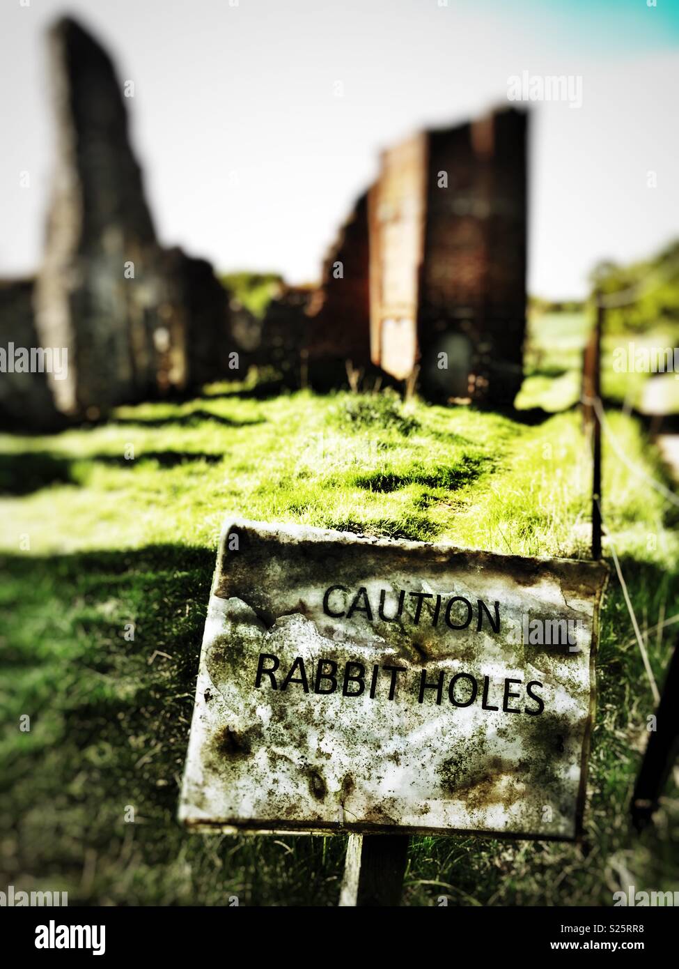 Caution rabbit holes sign Stock Photo - Alamy
