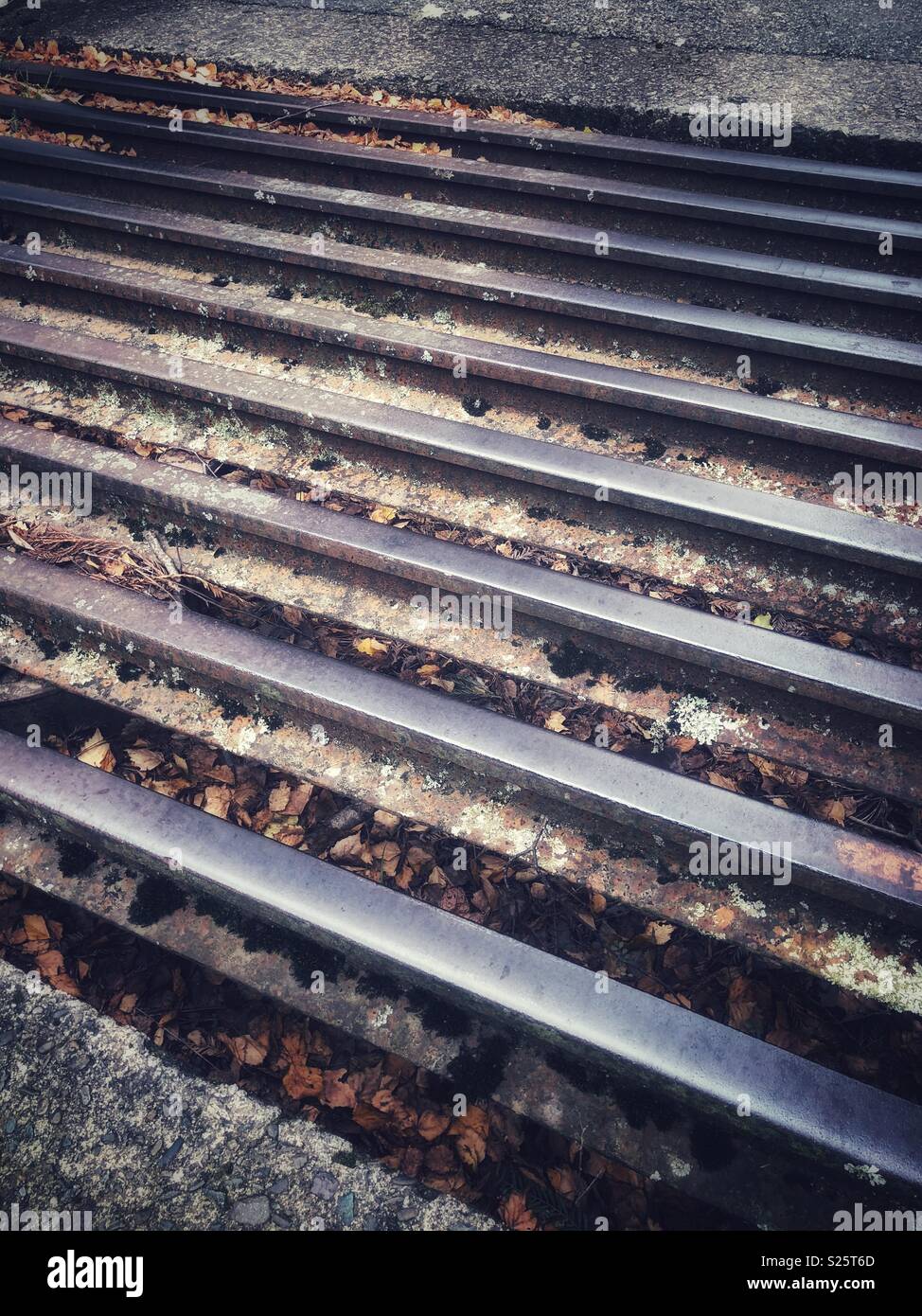 Cattle stop with lichens growing on it Stock Photo - Alamy