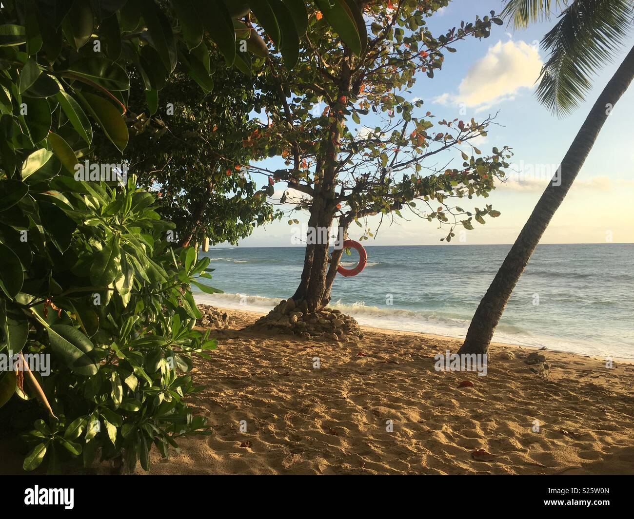 Relaxing under the trees Stock Photo - Alamy