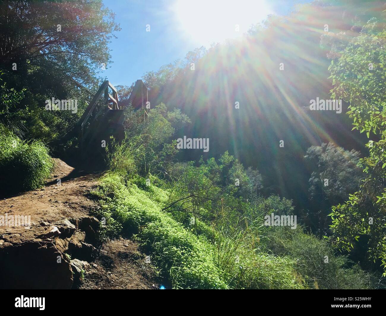 Morialta Conservation Reserve High Resolution Stock Photography and ...