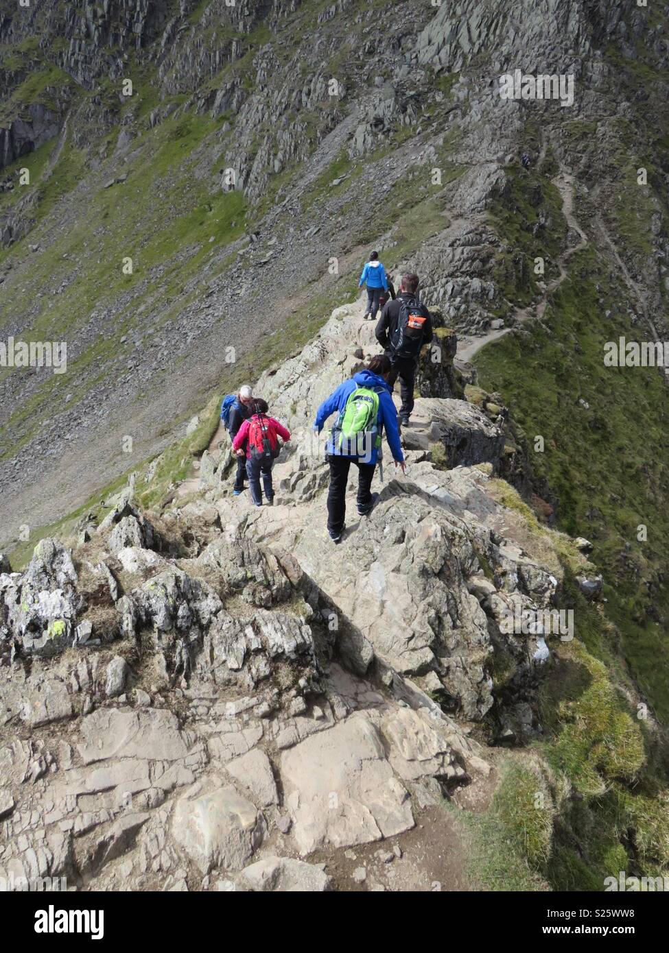 Crossing Striding Edge to reach the summit of Helvellyn Stock Photo - Alamy