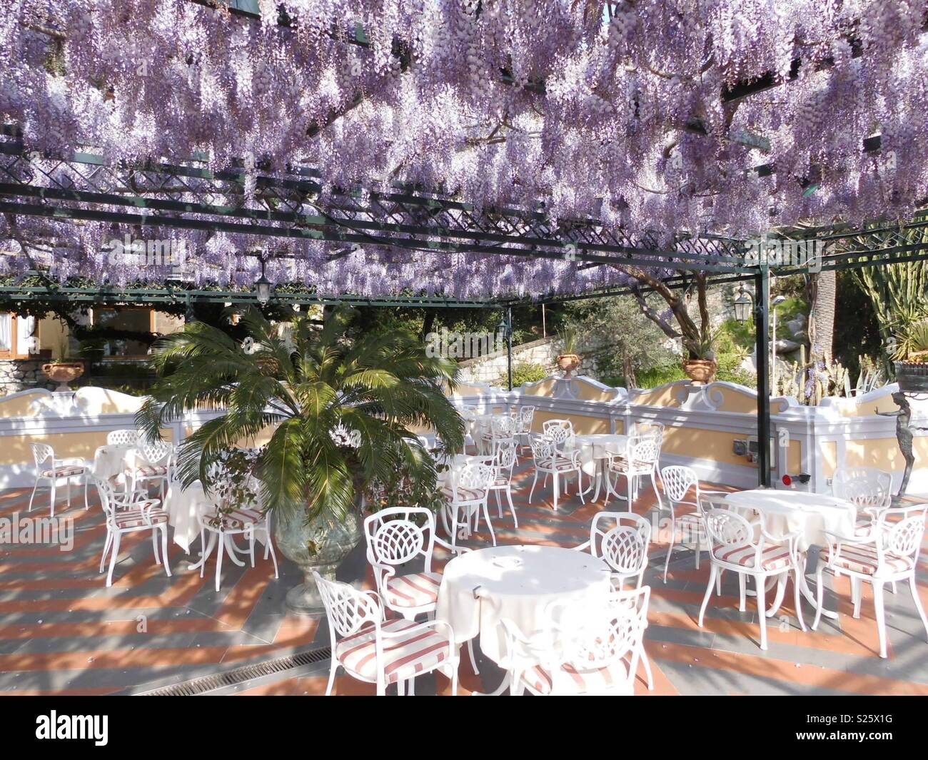 Wisteria canopy hi-res stock photography and images - Alamy