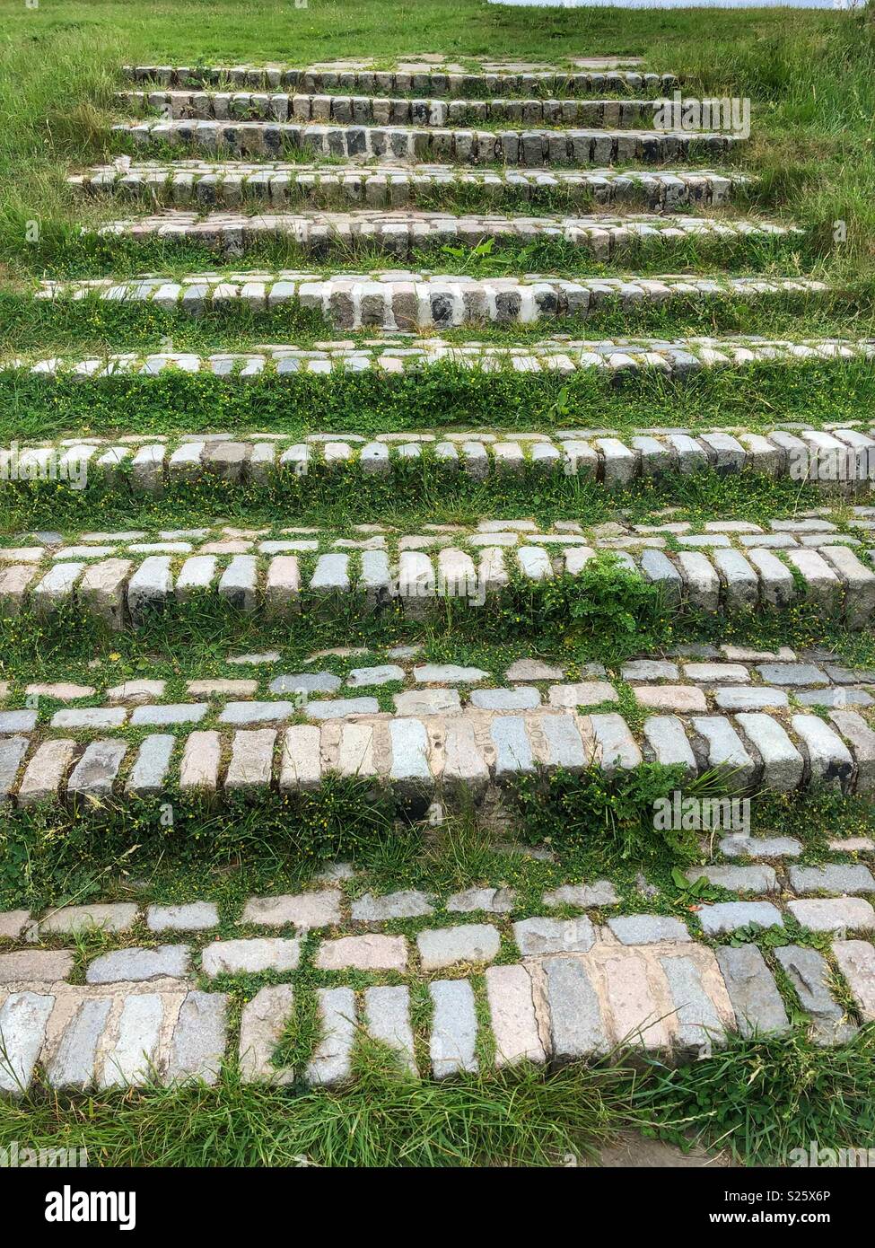 Overgrown Steps High Resolution Stock Photography and Images - Alamy