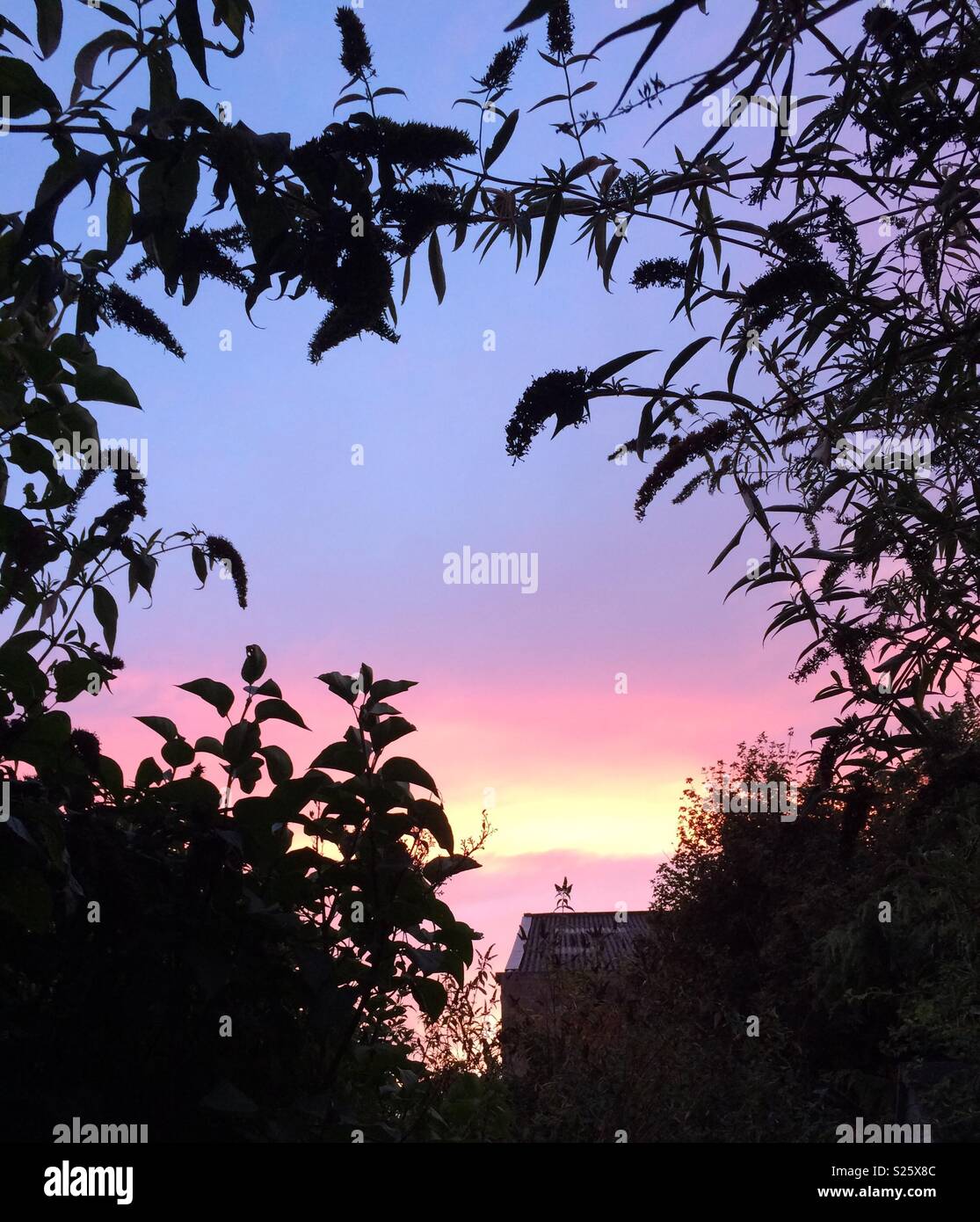 Lilac Pink Sunset High Resolution Stock Photography and Images - Alamy