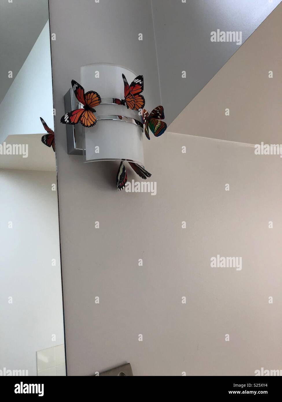 Butterflies in home Stock Photo - Alamy