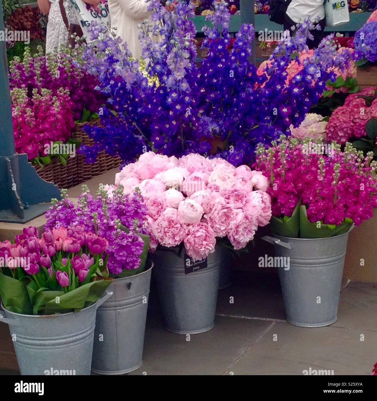 Colourful flowers hi-res stock photography and images - Alamy