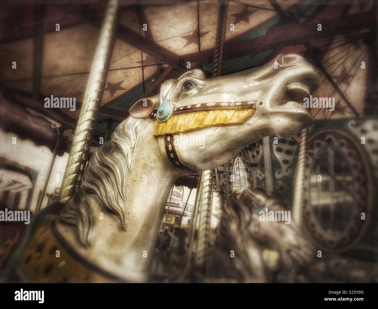 Closeup of a carousel horse Stock Photo - Alamy