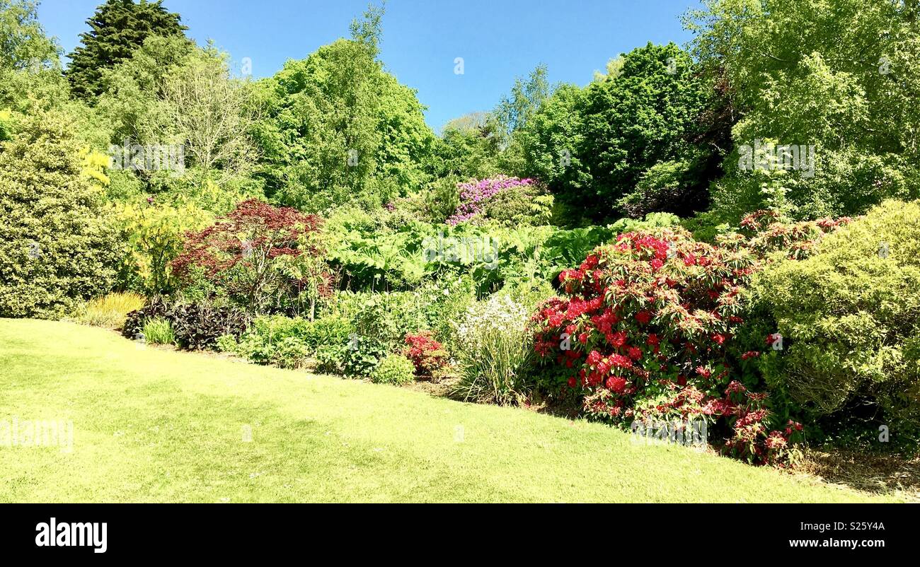 On the grounds of stormont estate hi-res stock photography and images ...
