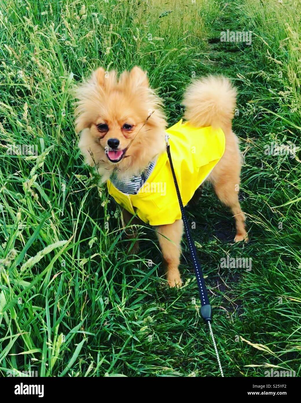 Ready for the rain hi-res stock photography and images - Alamy