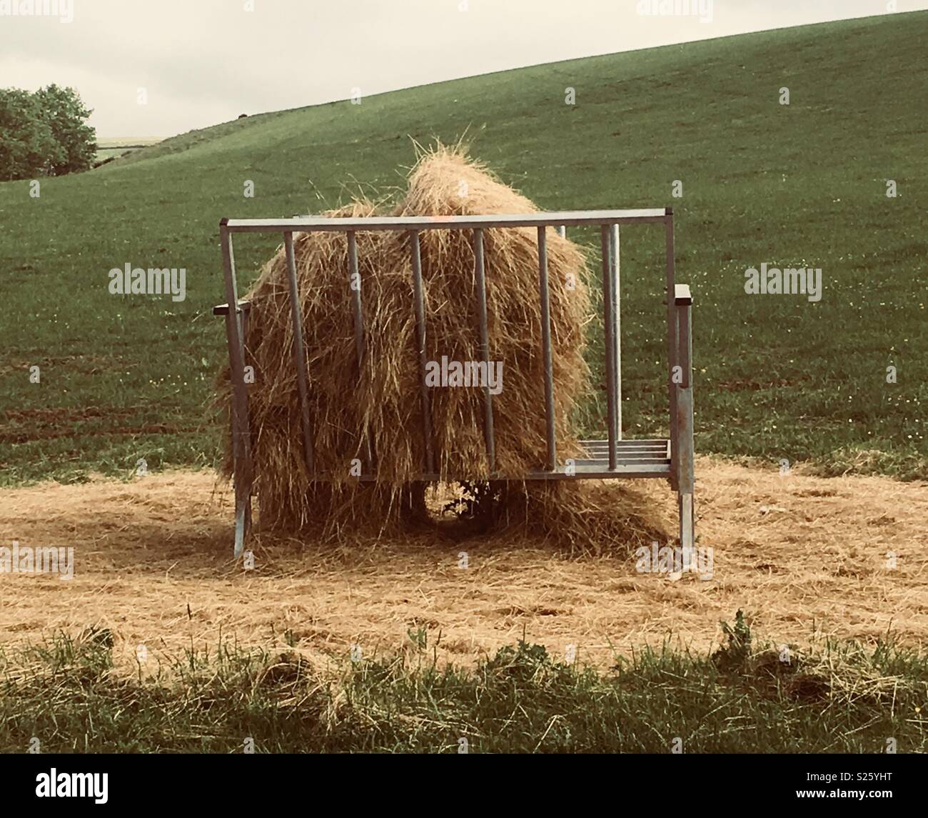 Bolt Hole High Resolution Stock Photography and Images - Alamy