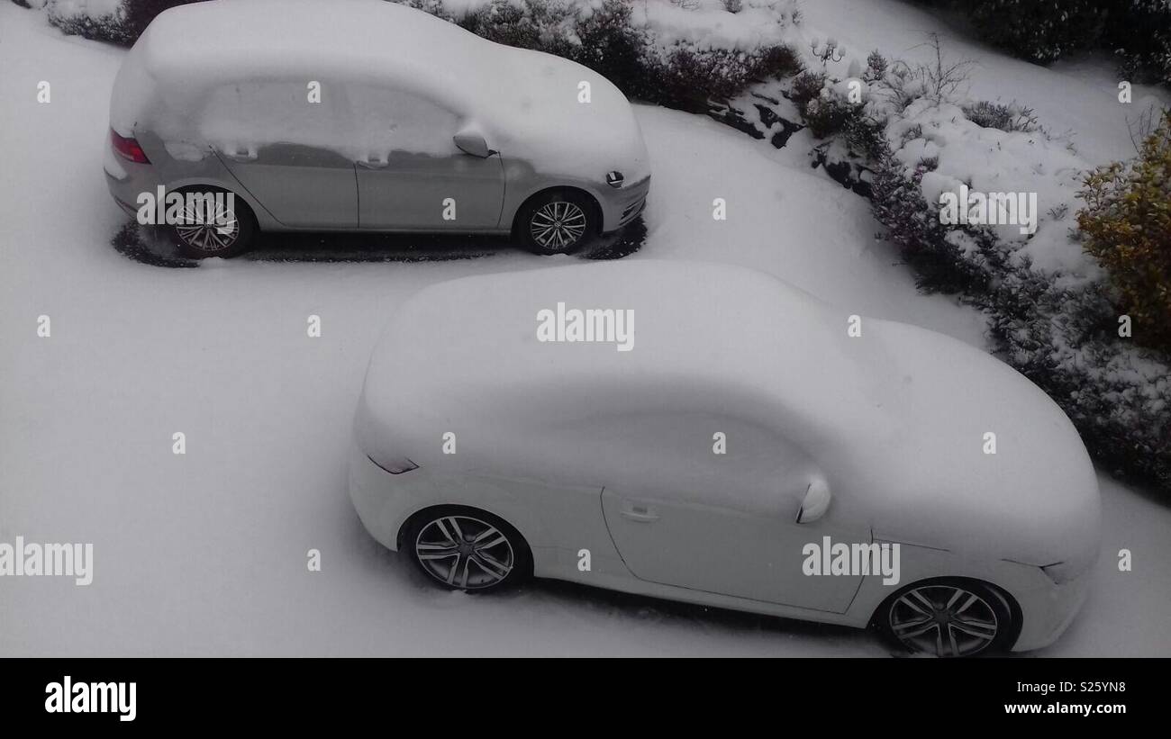 Hidden cars hi-res stock photography and images - Alamy