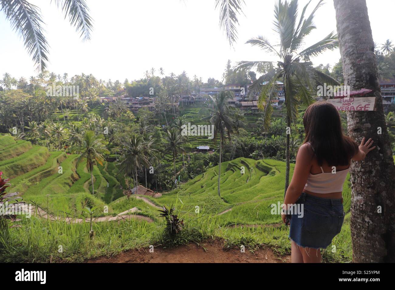 Ubud bali indonesia asia hi-res stock photography and images - Alamy