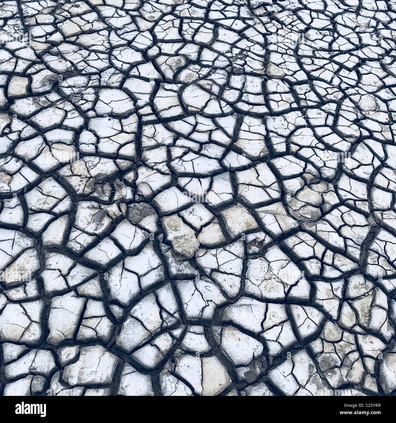 Parched earth, cracked mud Stock Photo - Alamy