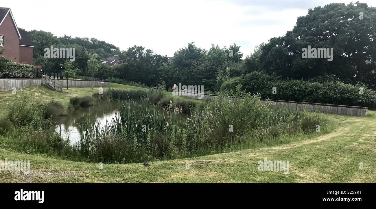 Pond in the village Stock Photo - Alamy