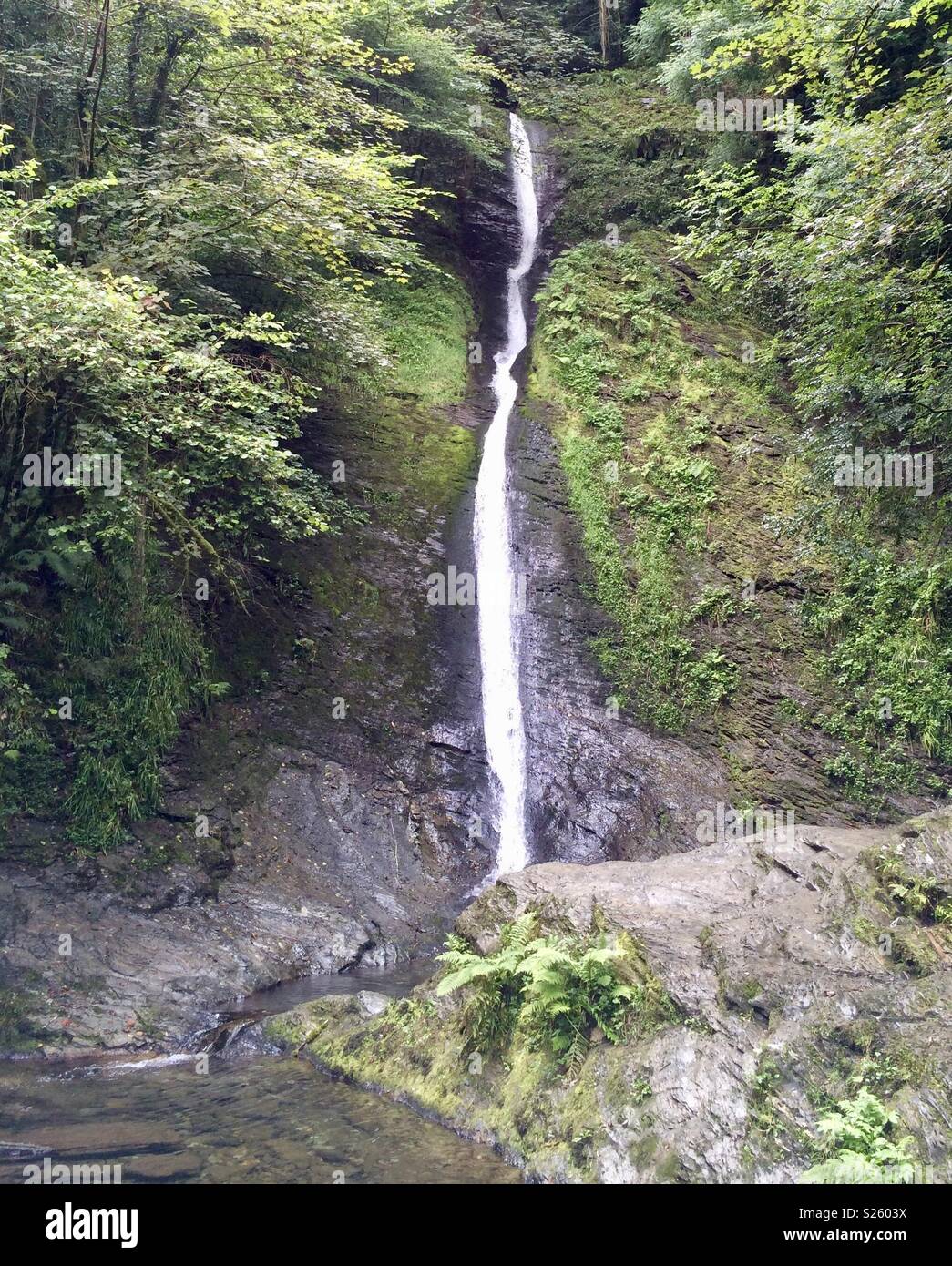 Lydford gorge devon hi-res stock photography and images - Alamy