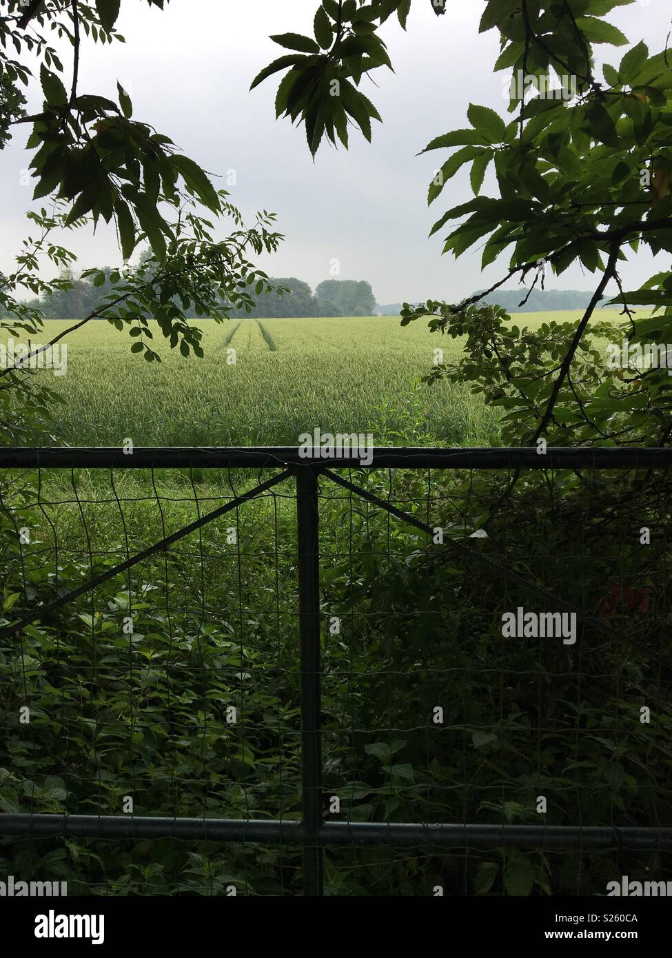 Gate and farmland hi-res stock photography and images - Alamy