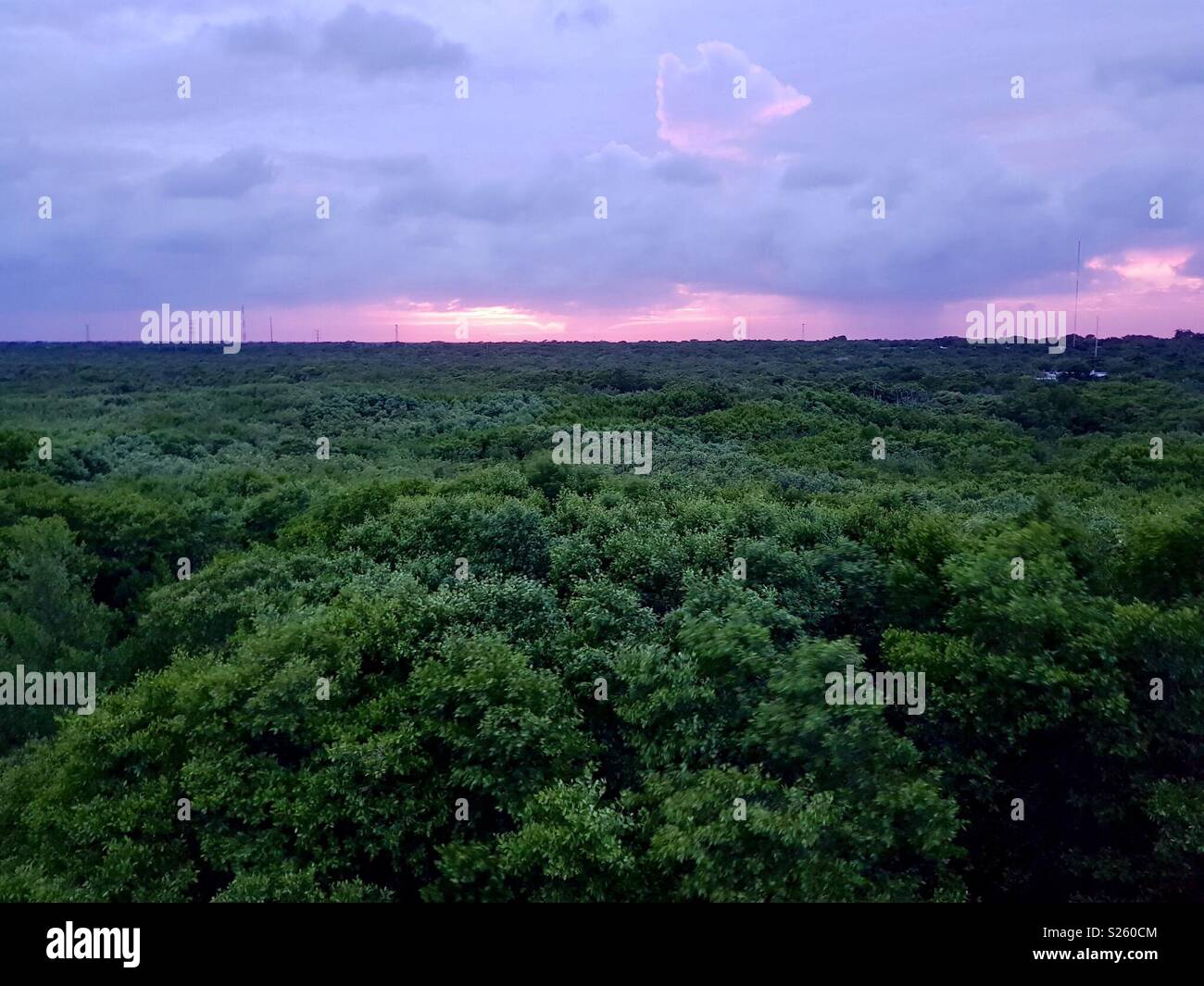 Over the rainforest hi-res stock photography and images - Alamy