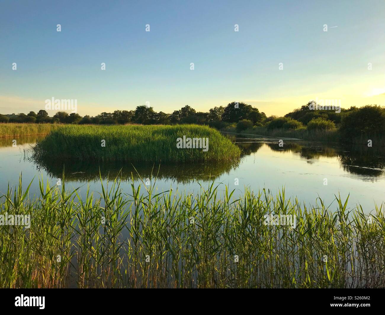 Ham wall nature reserve hi-res stock photography and images - Alamy