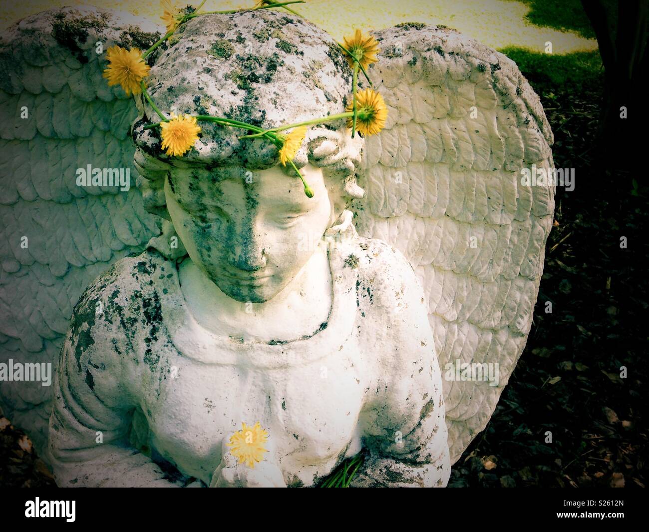 Crowned chain hi-res stock photography and images - Alamy