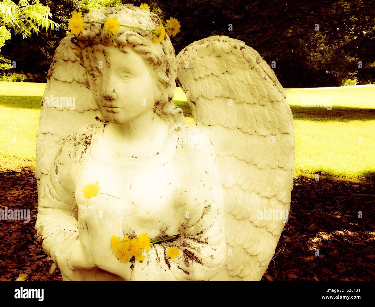 Golden photo of angel statue with dandelion chain as crown Stock Photo ...