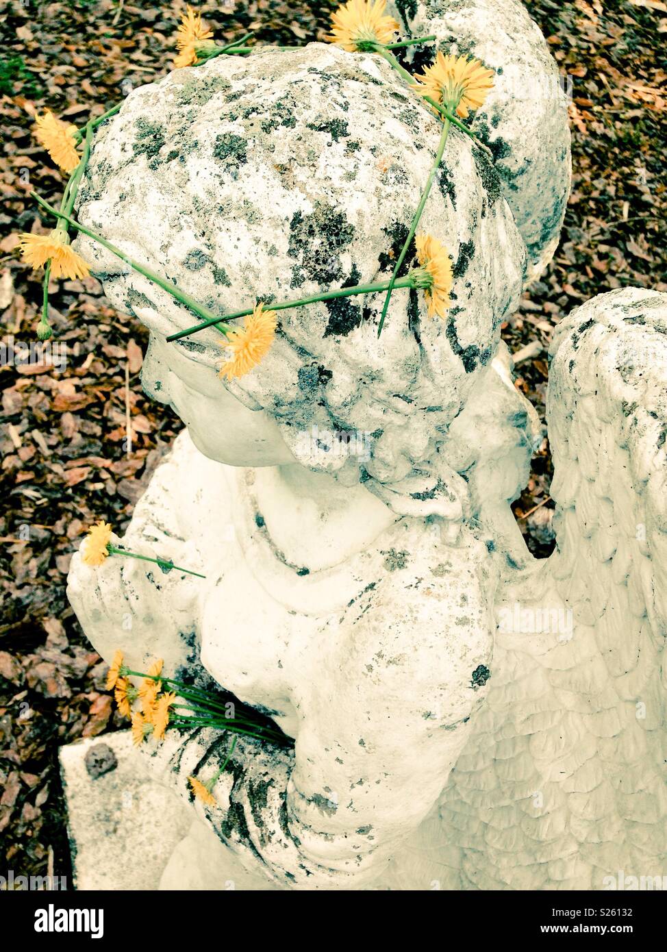 Dandelions crown statue of angel Stock Photo - Alamy