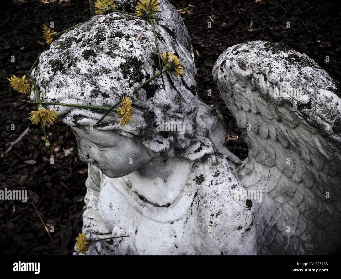 Yellow color pop photo of angel statue wearing dandelion chain Stock ...