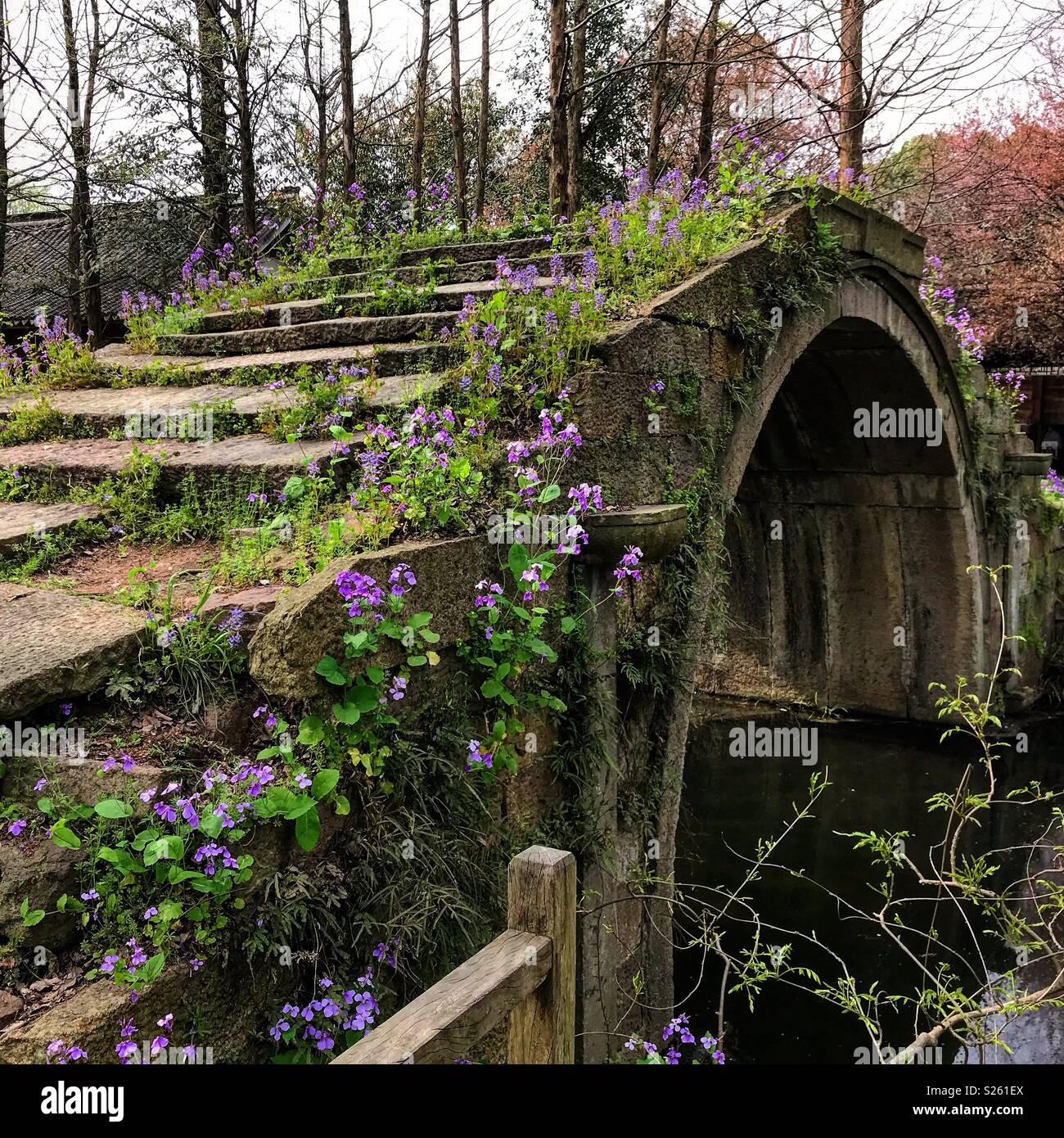 Flowers on the bridge Stock Photo - Alamy