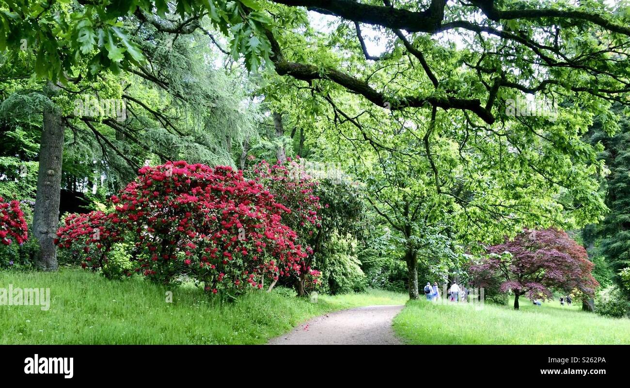 Stourhead park hi-res stock photography and images - Alamy