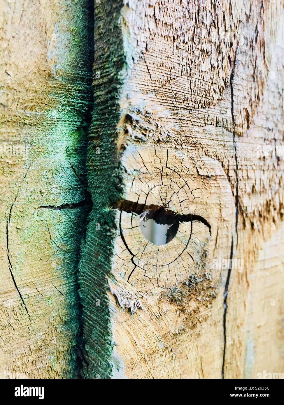 Hole in fence hi-res stock photography and images - Alamy