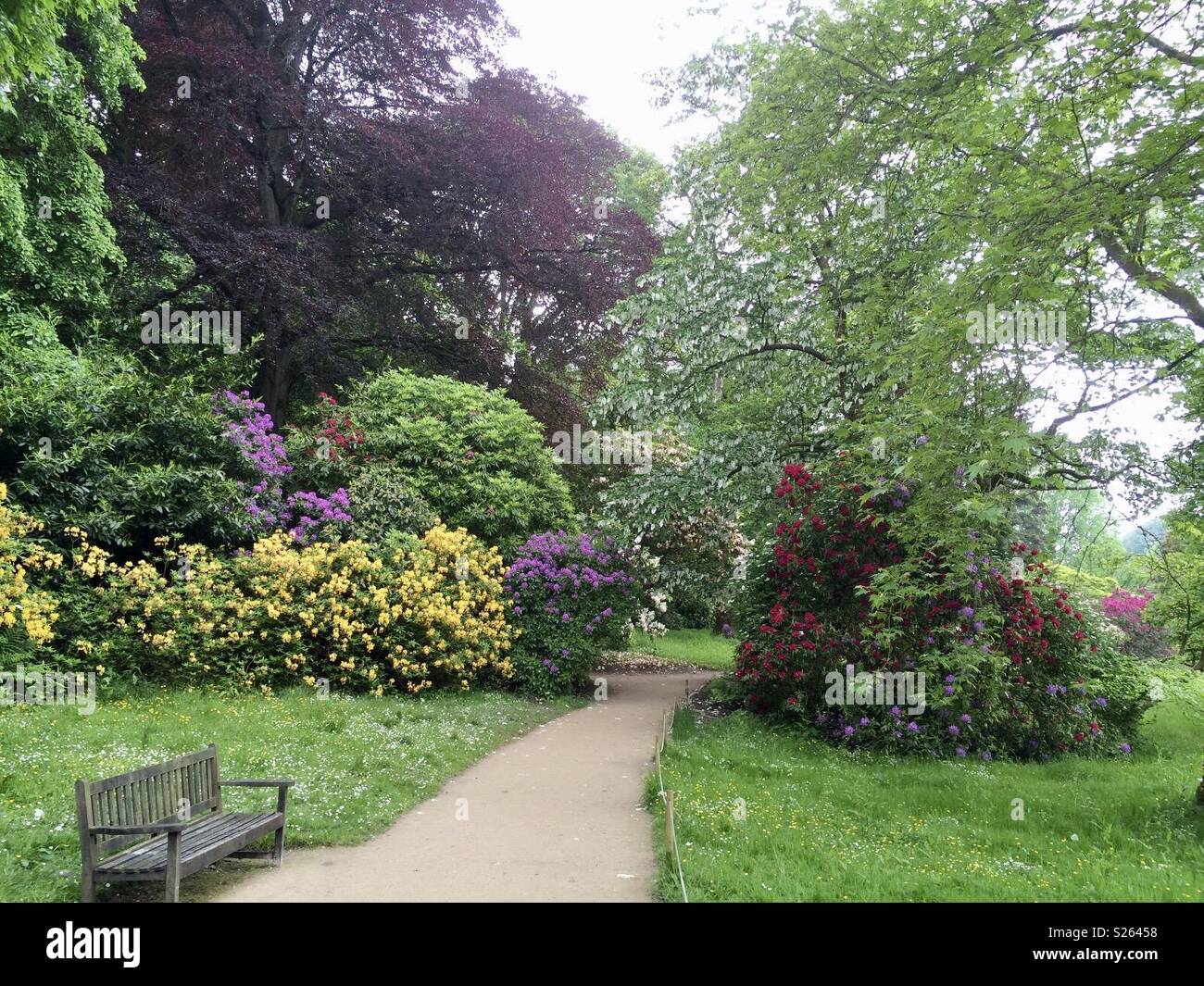 Stourhead grounds hi-res stock photography and images - Alamy